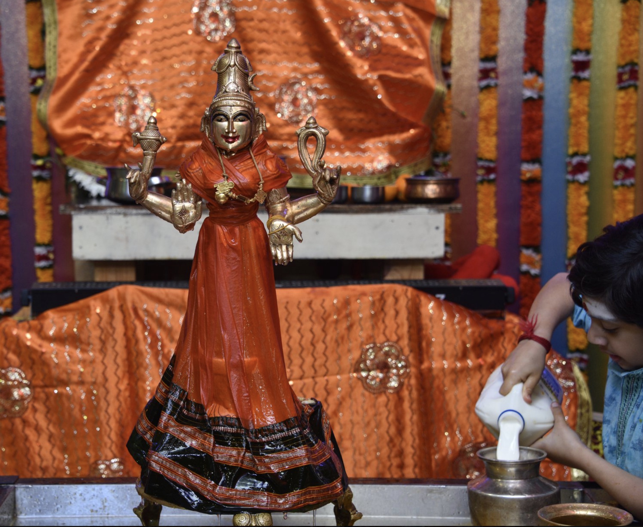 PHOTO GALLERY – Sri Sai Siva Vishnu Temple Arts, Educational & Cultural Association